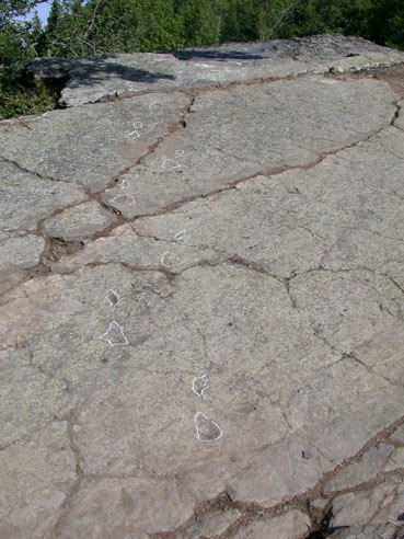 Santa Cruz de Yanguas (Los Tormos), Soria | Aragosaurus