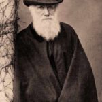 Darwin y Galileo unidos | Aragosaurus