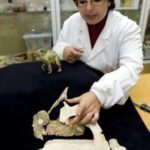 Blasisaurus en el programa Teknópolis de la ETB2 | Aragosaurus