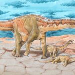 Nuevas aportaciones sobre la alimentación del saurópodo Lavocatisaurus ...